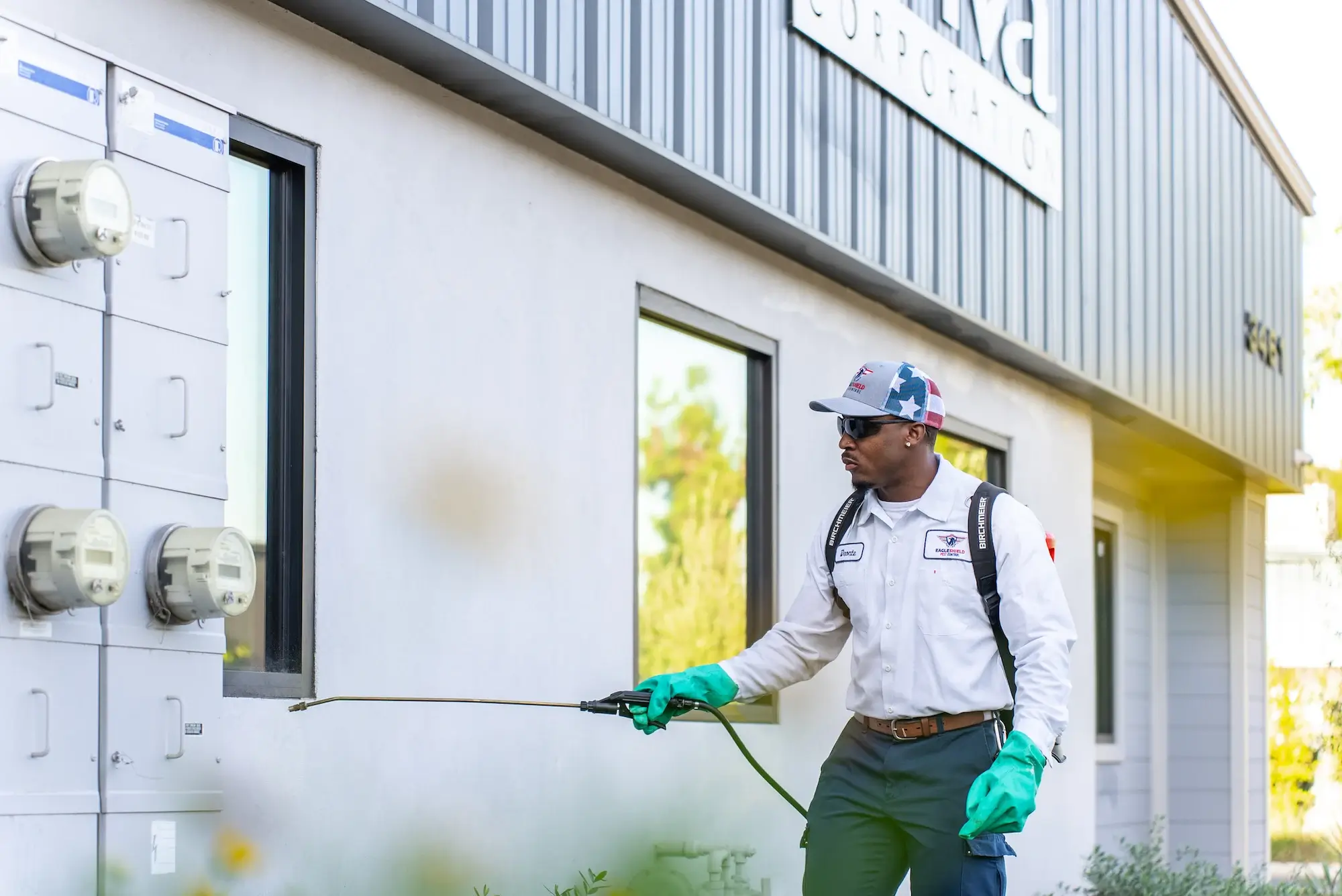 Spider Inspection Bakersfield CA - EagleShield Pest Control